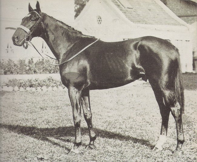 La Head-mania (3e partie) : Jacques-Alexandre dit Alec Head,Alec, le ...