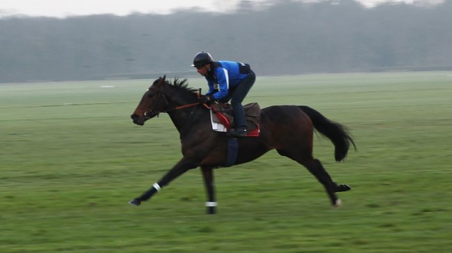 Trêve : son 1e travail de l'année 2015 sur la gazon de Chantilly avec ...