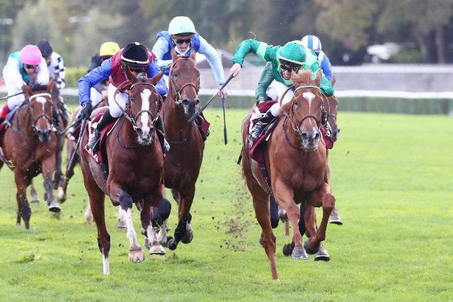 In Swoop, étalon d'obstacle en Irlande à Coolmore... malgré ses ...