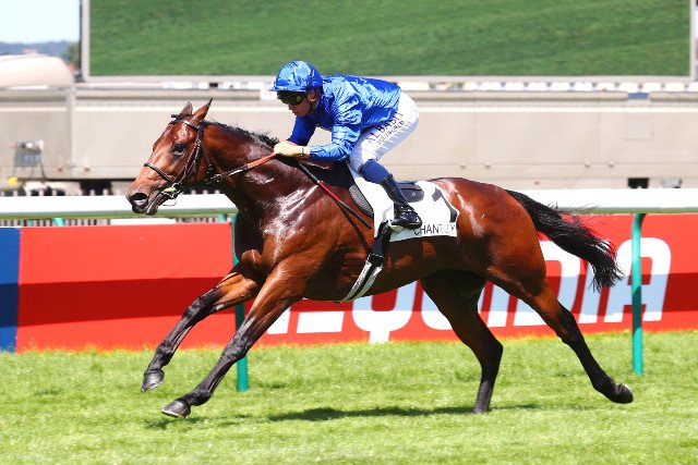Victor Ludorum, une recrue de choix pour le Haras du Logis ! - France sire
