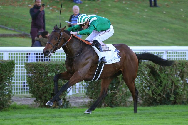 Le Haras de Saint Arnoult fait débuter le gagnant de Gr.1 Mkfancy ...