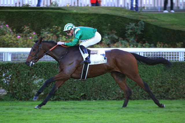 Le Haras de Saint Arnoult fait débuter le gagnant de Gr.1 Mkfancy ...