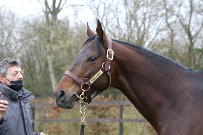 Route des Etalons 2022 DNA PEDIGREE : Haras de Saint-Arnoult avec # ...