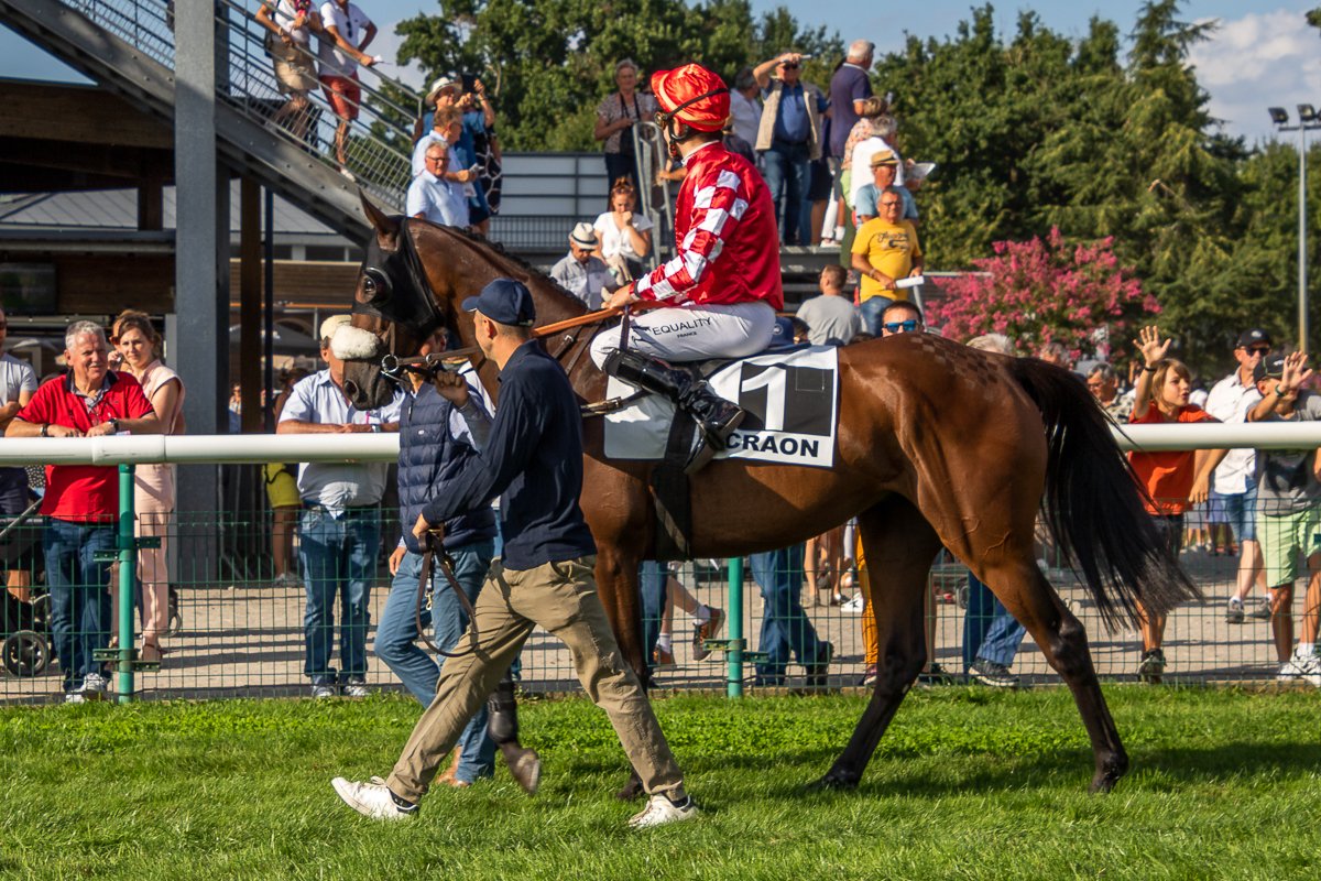 Le Grand Cross de Craon 2022 pour Twirling : tout vient à point à qui ...