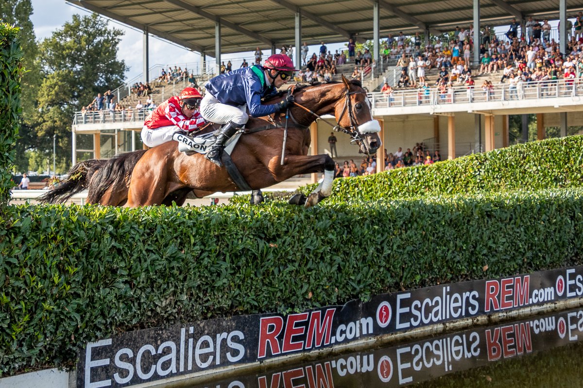 Le Grand Cross de Craon 2022 pour Twirling : tout vient à point à qui ...