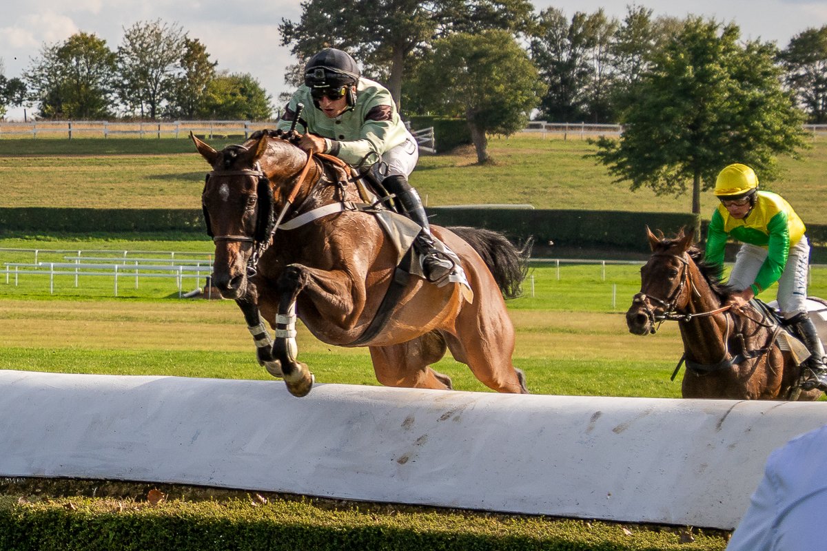 Le Grand Cross de Craon 2022 pour Twirling : tout vient à point à qui ...