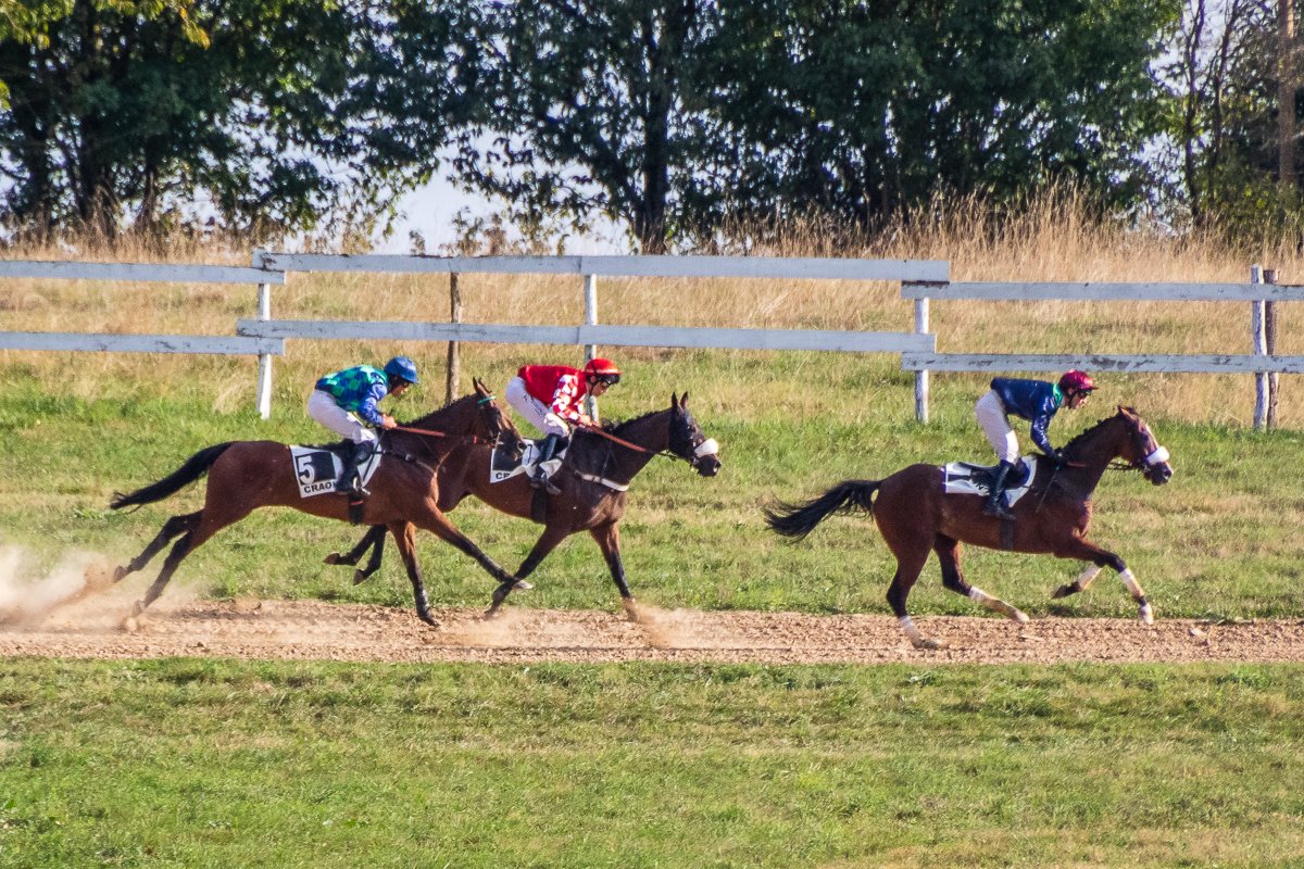 Le Grand Cross de Craon 2022 pour Twirling : tout vient à point à qui ...