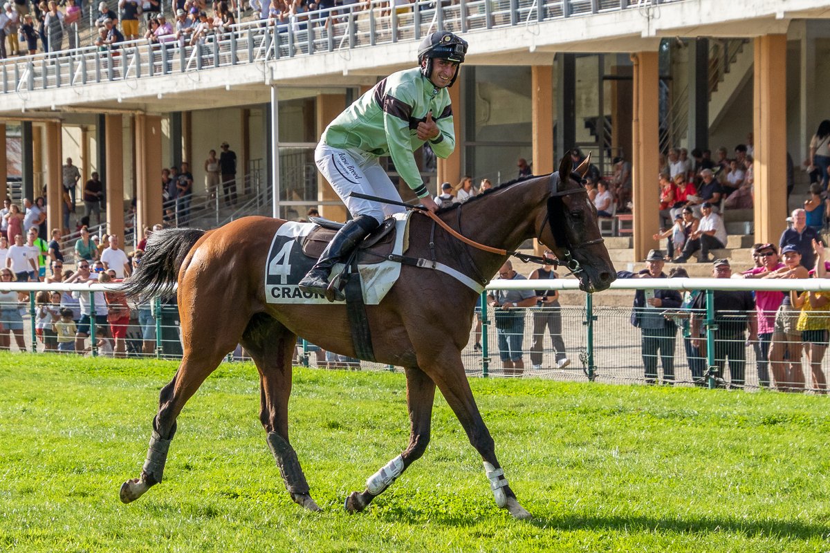 Le Grand Cross de Craon 2022 pour Twirling : tout vient à point à qui ...