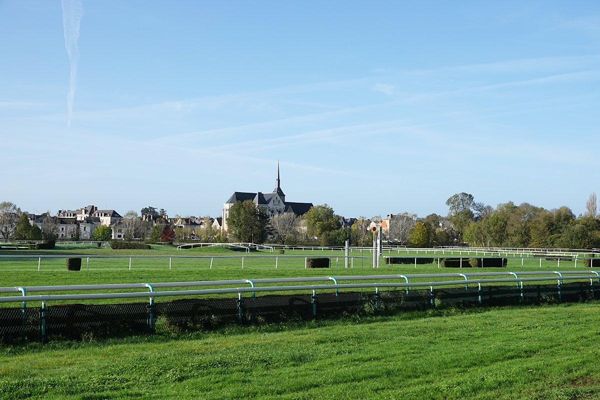 Vente 100% Obstacle Osarus: la fièvre Cokoriko pour Davide Satalia "bis ...