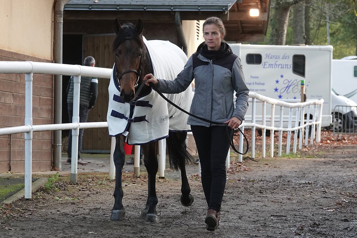 Vente 100% Obstacle Osarus: la fièvre Cokoriko pour Davide Satalia "bis ...