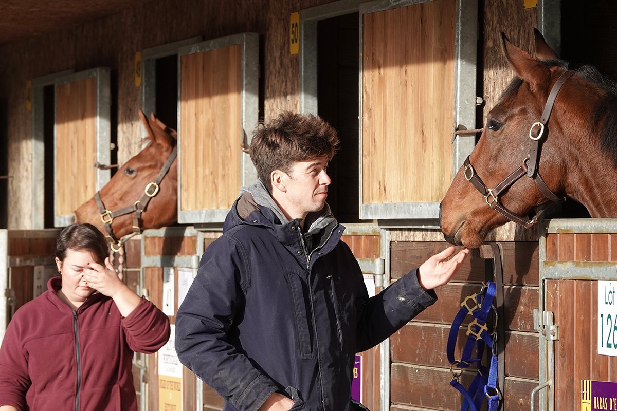 Vente 100% Obstacle Osarus: la fièvre Cokoriko pour Davide Satalia "bis ...