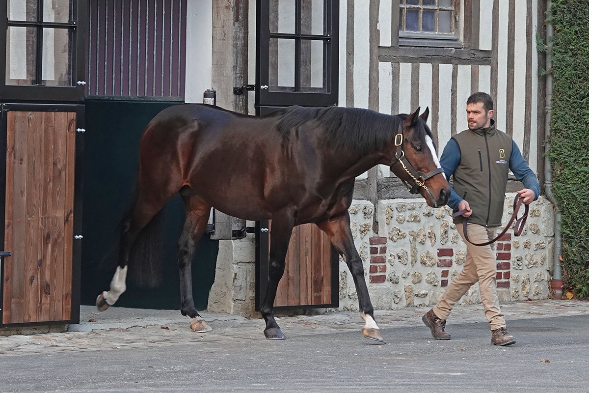 Découverte du Haras de Beaumont lors de la porte ouverte, avec Sealiway ...