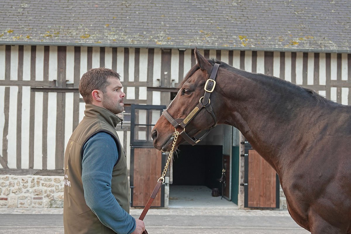 Découverte du Haras de Beaumont lors de la porte ouverte, avec Sealiway ...