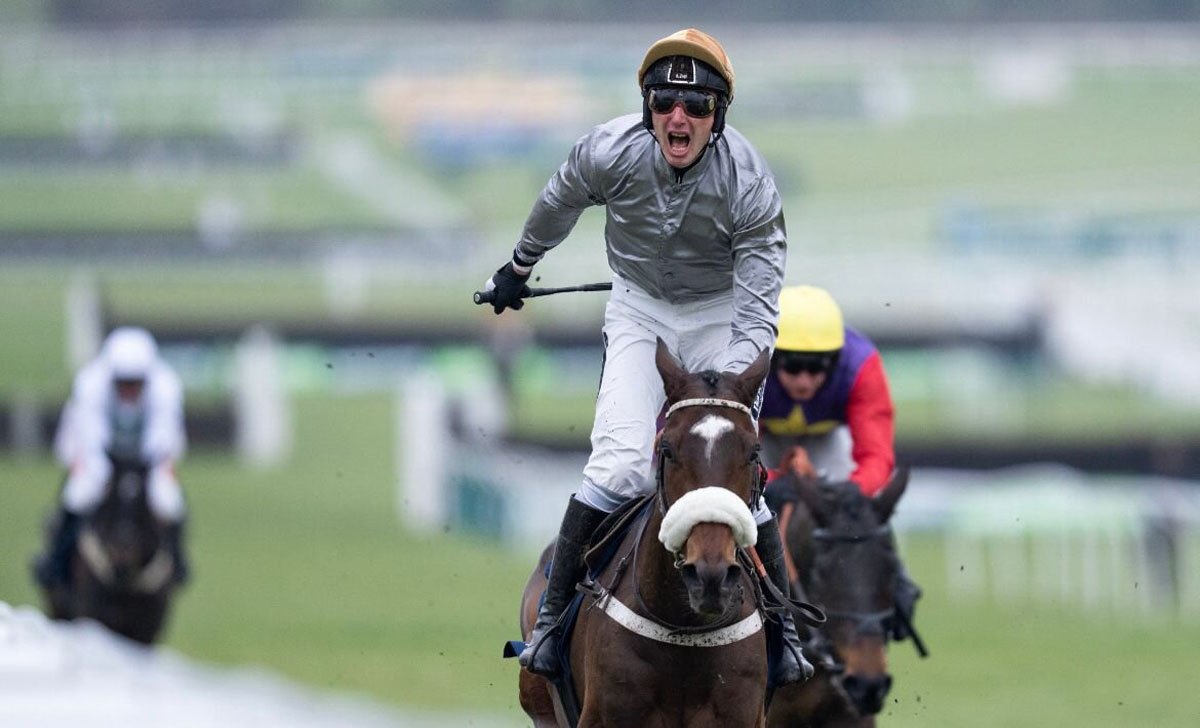 Gold Tweet brille à Cheltenham: l'audace récompensée de Gabriel ...