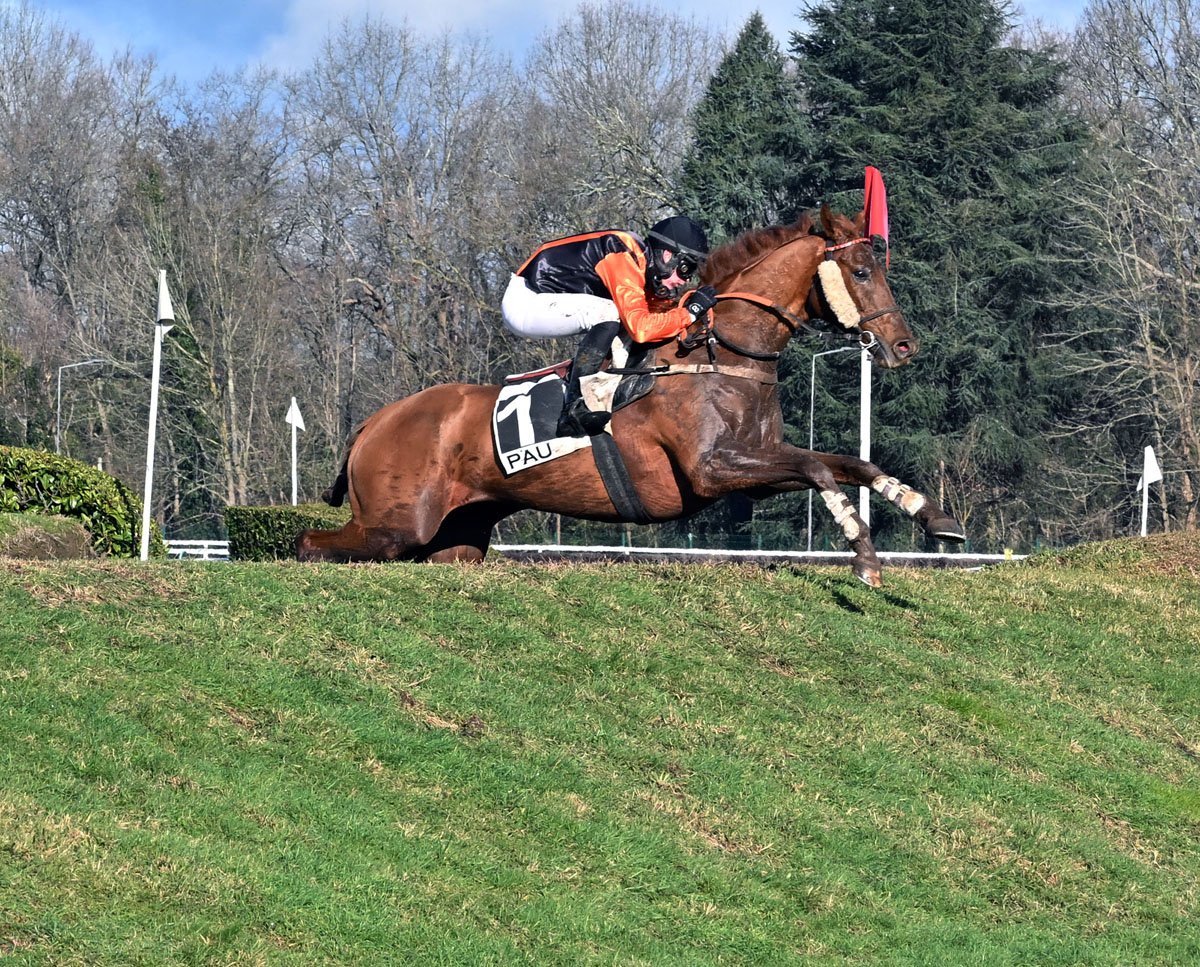 Grand Cross de Pau 2023: ça va être bien, ça va être très bien même ...