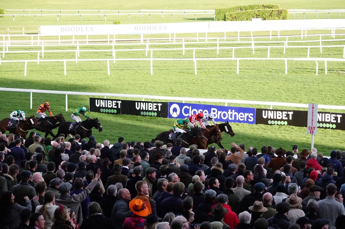 Cheltenham 2023 : après Delta Work, son frère Jazzy Matty fait de ...