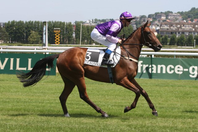 Lauréat des 2.000 Guinées allemandes, Angers offre un 1er Groupe à ...