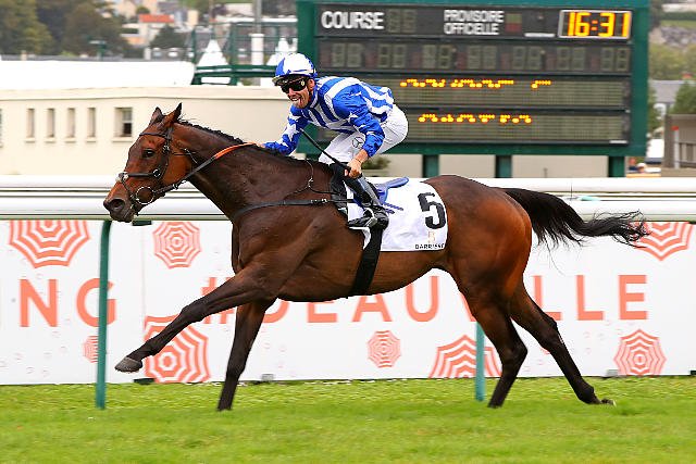 Jack Darcy crée la surprise en décrochant son 1er Groupe dans le Grand ...