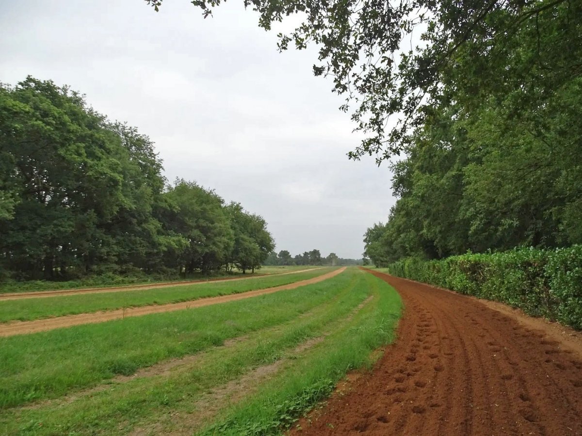 Discret mais efficace, Paul de Chevigny remporte sa première Listed ...