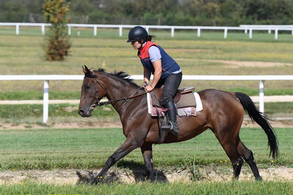 Maud Le Gall signe son 1er coup de 2 à Pau avec ses 2 partants du jour ...