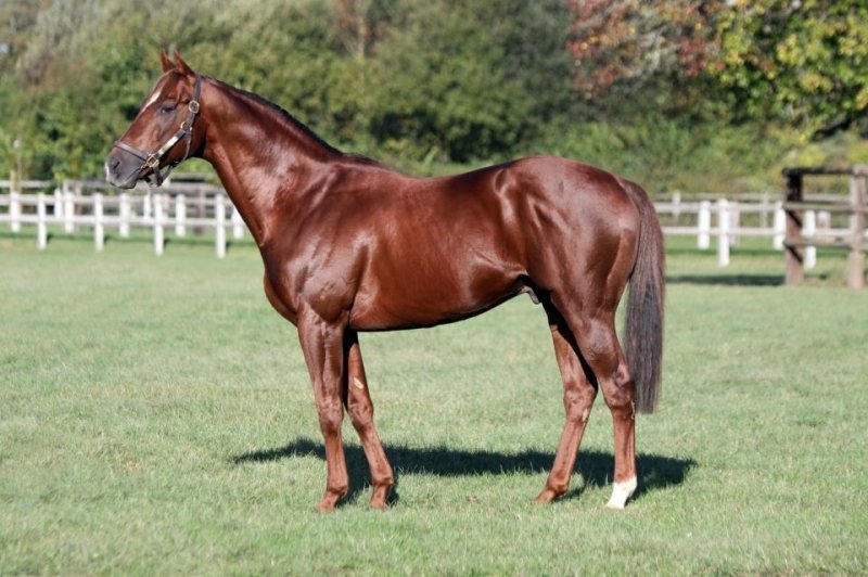 Quatre à la suite pour Gareth de Larachi dans le Prix Jean Granel : ah ...