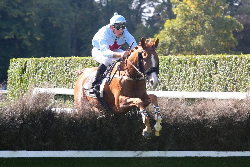 Achetée 1.000 euros il y a 3 mois, Peaceful Sea débute victorieusement ...