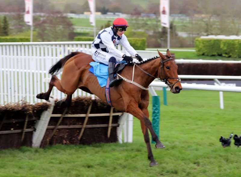 Cheltenham 2024 : Ballyburn en tête d'un quinté "Mullins" dans un Gr.1 ...