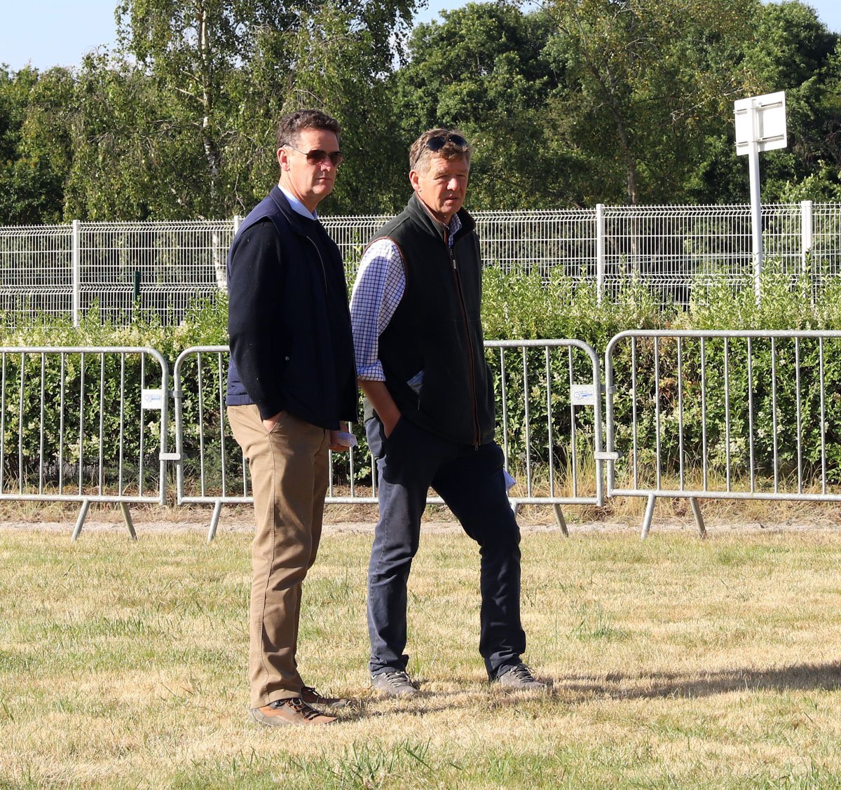 Breizh Foal Show 2024 à Saint-Brieuc : le reportage vidéo - France sire