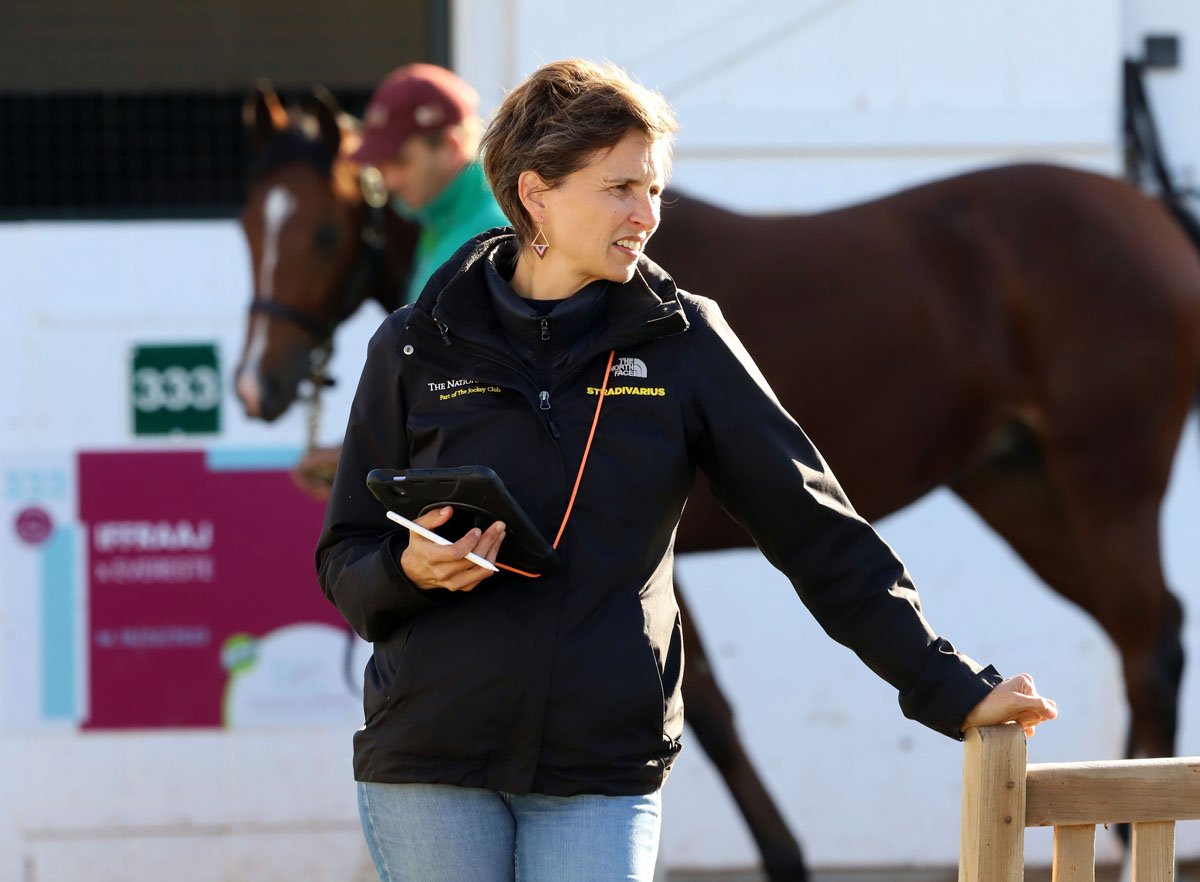 Le Who's Who du J2 de la Vente de Yearlings d'Octobre ARQANA - France sire