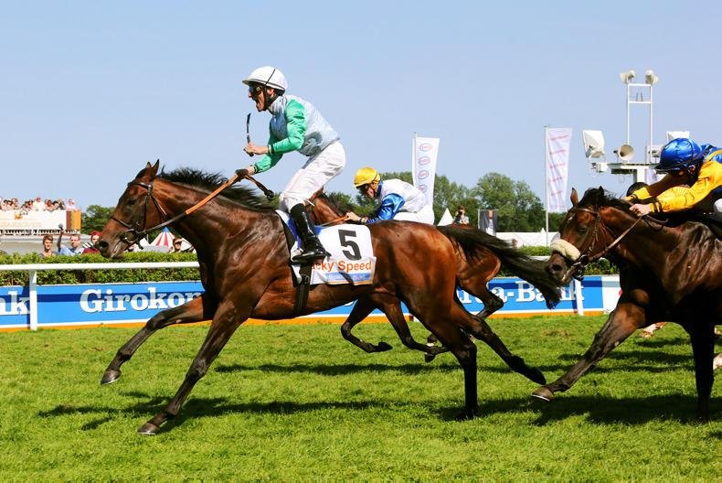 Lucky Speed : un gagnant de Derby allemand s'installe étalon chez Eric ...