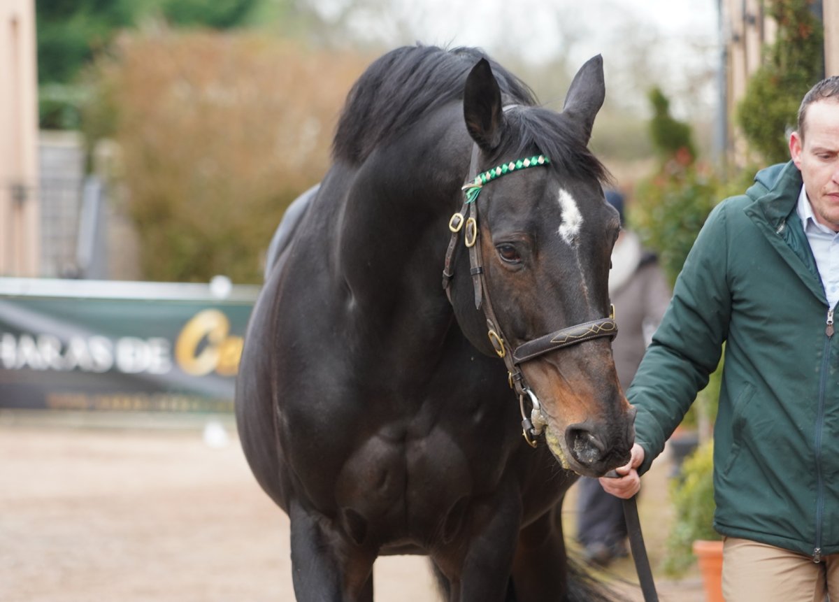 Journée Portes Ouvertes du Haras de Cercy 2025 en VIDEO : une saison ...
