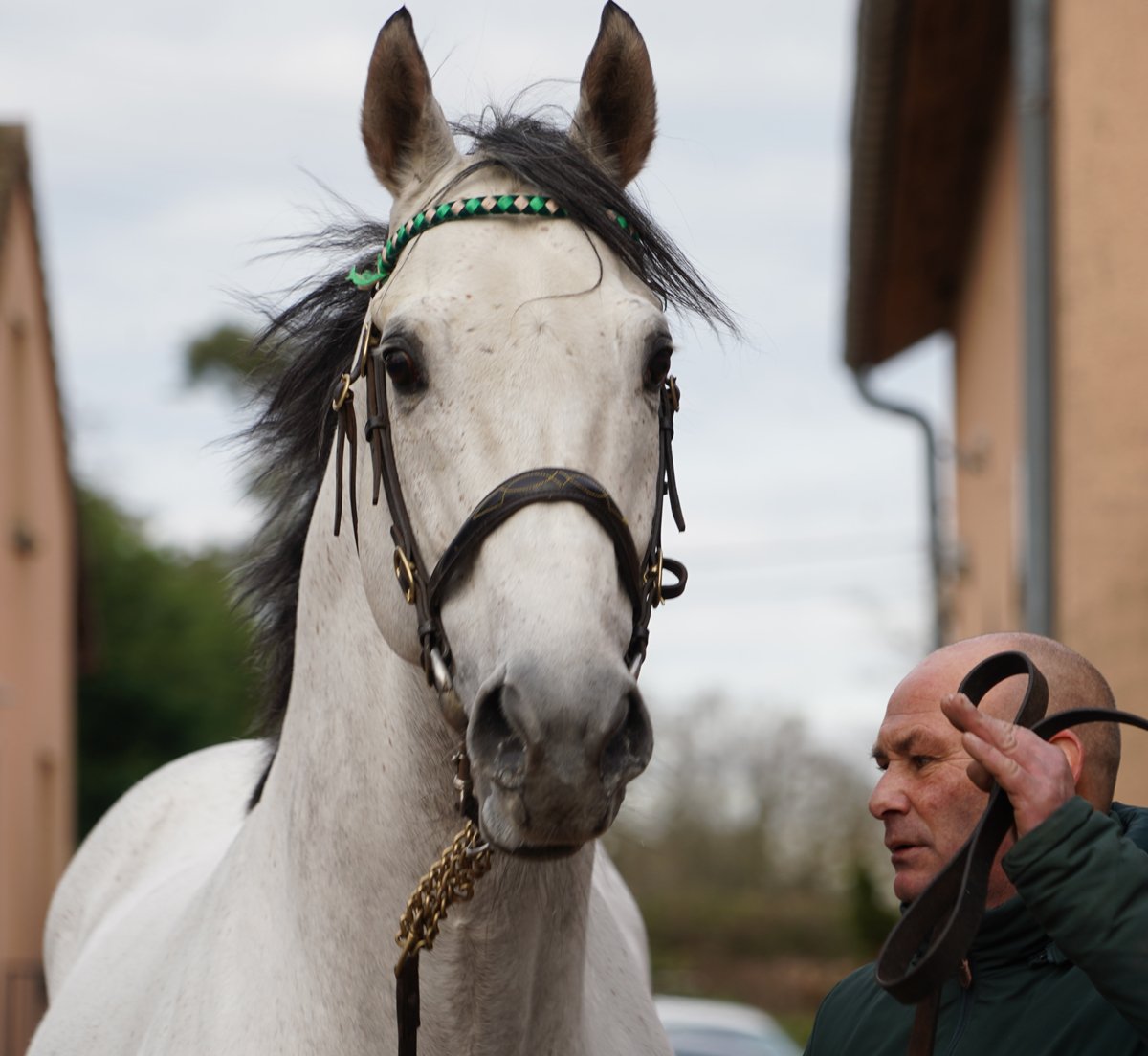 Journée Portes Ouvertes du Haras de Cercy 2025 en VIDEO : une saison ...