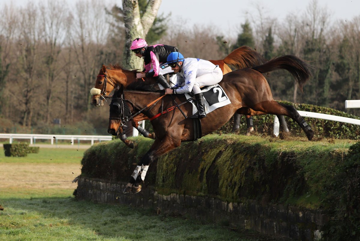 "Un jour aux courses d'Anglo": l'opération inédite de la Fédération ...