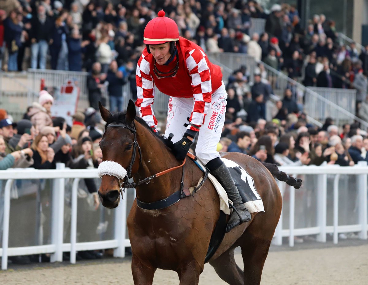 Grand Cross de Pau 2025: le triplé d'Hip Hop Conti, l'exploit de Patrick Joubert - France sire