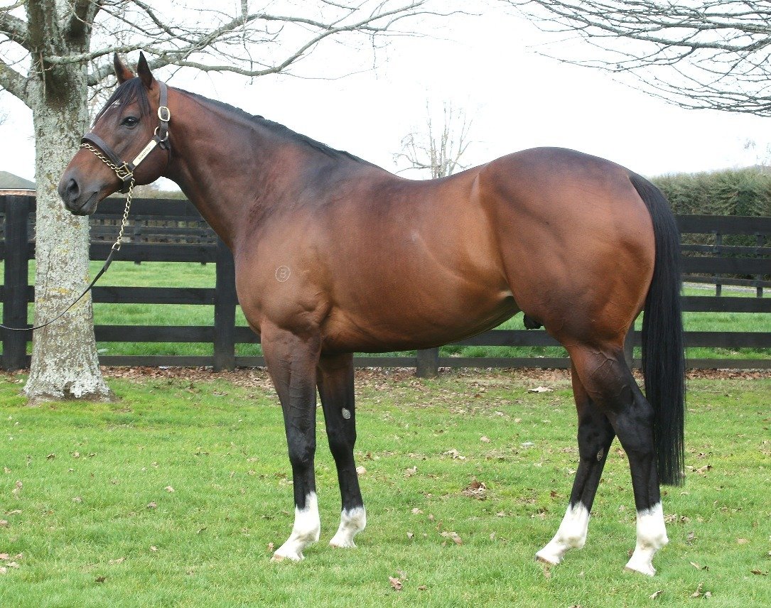 Ka Ying Rising : la vraie histoire du plus grand crack inconnu de Hong Kong - France sire