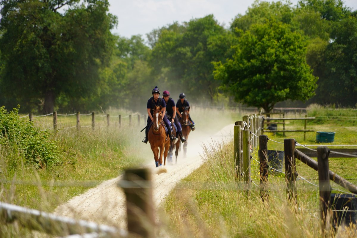 L'équipe de Sylvain Martin développe son activité de débourrage ...