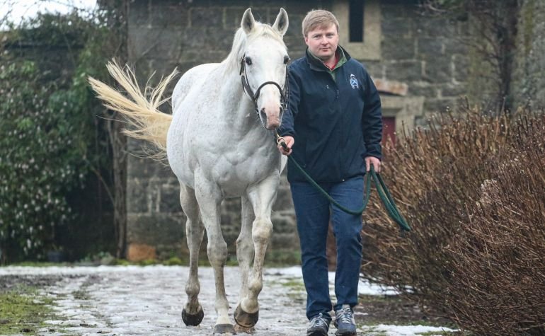 Disparition de Jukebox Jury, l'une des valeurs montantes chez les ...