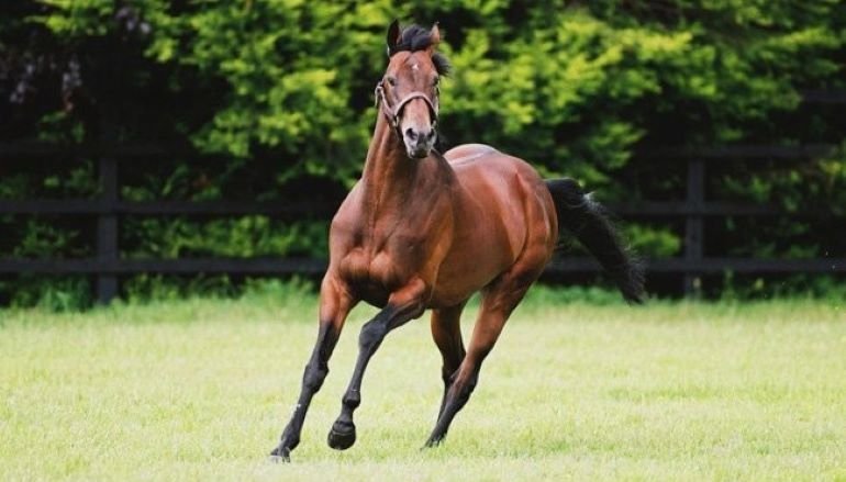 Disparition de Jukebox Jury, l'une des valeurs montantes chez les ...