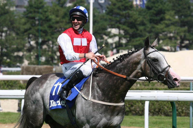 Disparition de Jukebox Jury, l'une des valeurs montantes chez les ...