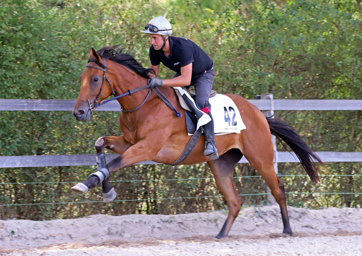 Show Lumet : un Great Pretender à 100.000 euros, Erwan de Chambord est ...