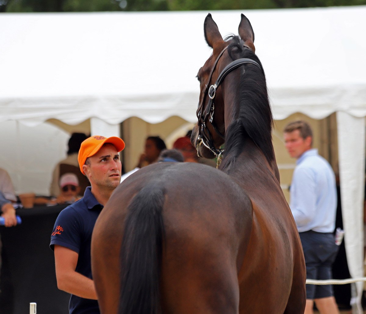 Show Lumet : un Great Pretender à 100.000 euros, Erwan de Chambord est ...