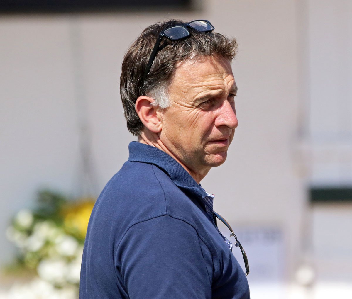 ARQANA : le Who's Who de la vente de yearlings d'août 2025 - France sire