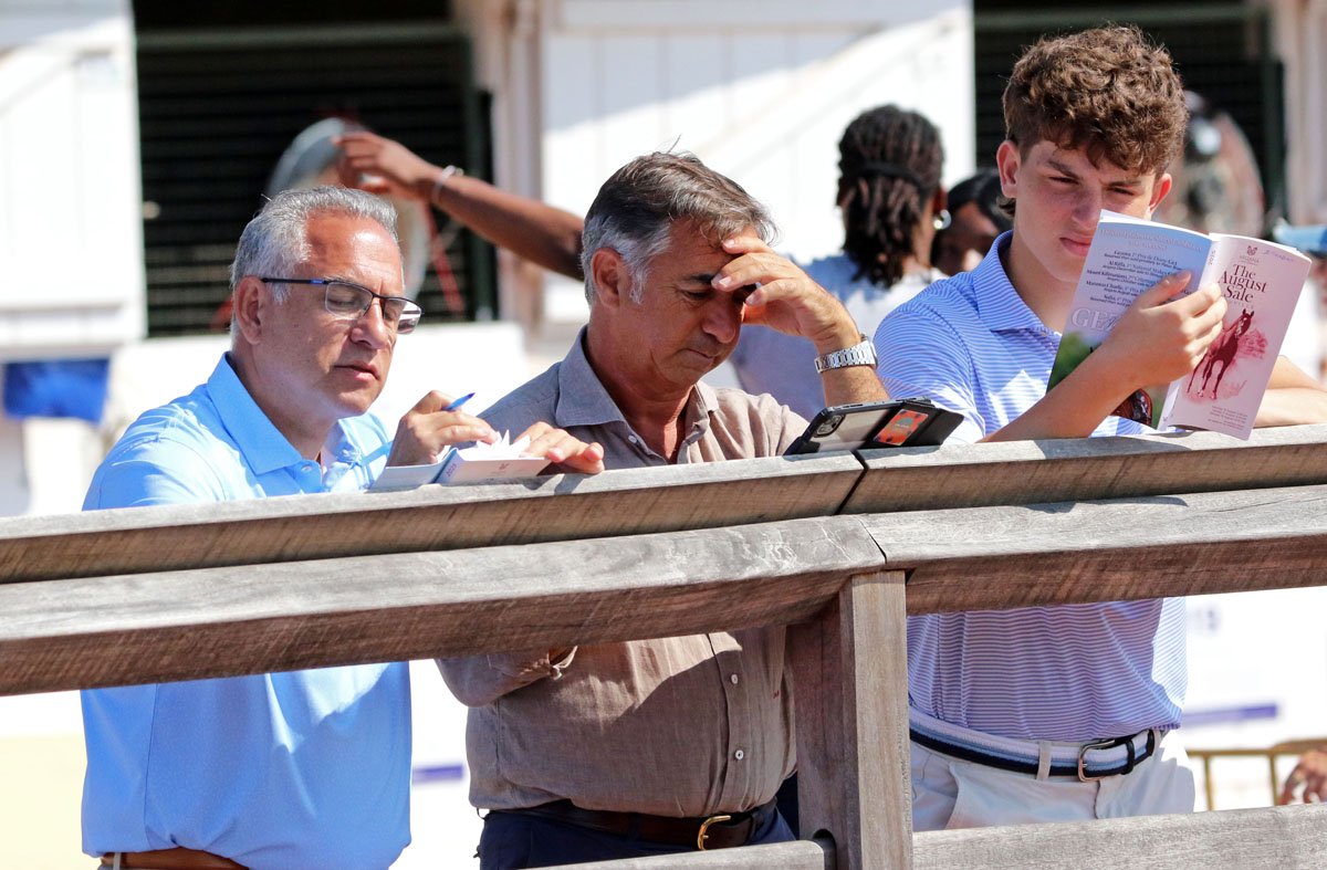 ARQANA : le Who's Who de la vente de yearlings d'août 2025 - France sire