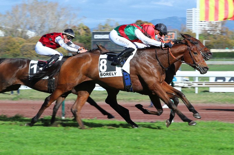 Un 2e Grand Prix des Femmes Jockeys pour Ambre Molins, la battante au ...