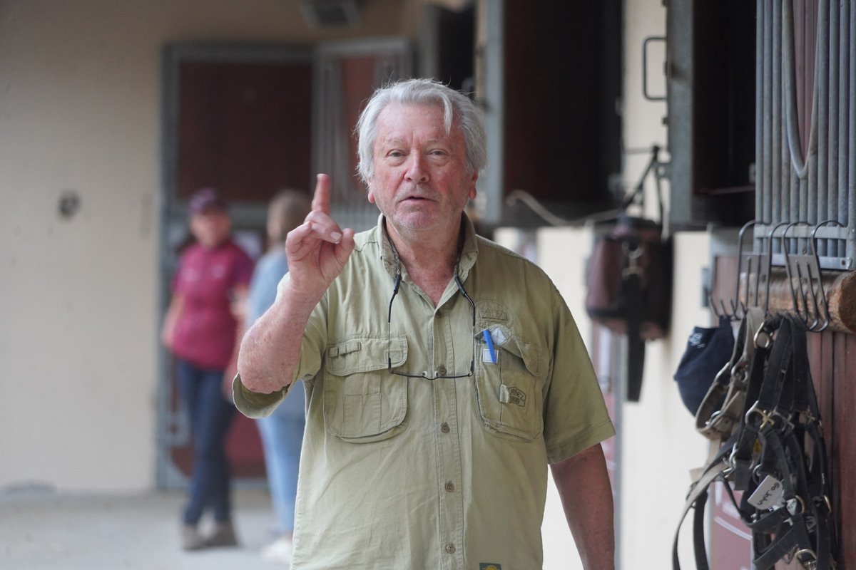 Le Who's Who de la vente de yearlings Osarus à La Teste - France sire