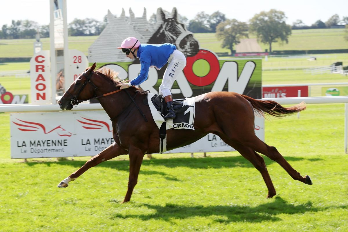 Said El Fal, la famille en or du Haras de Clairefontaine frappe encore ...