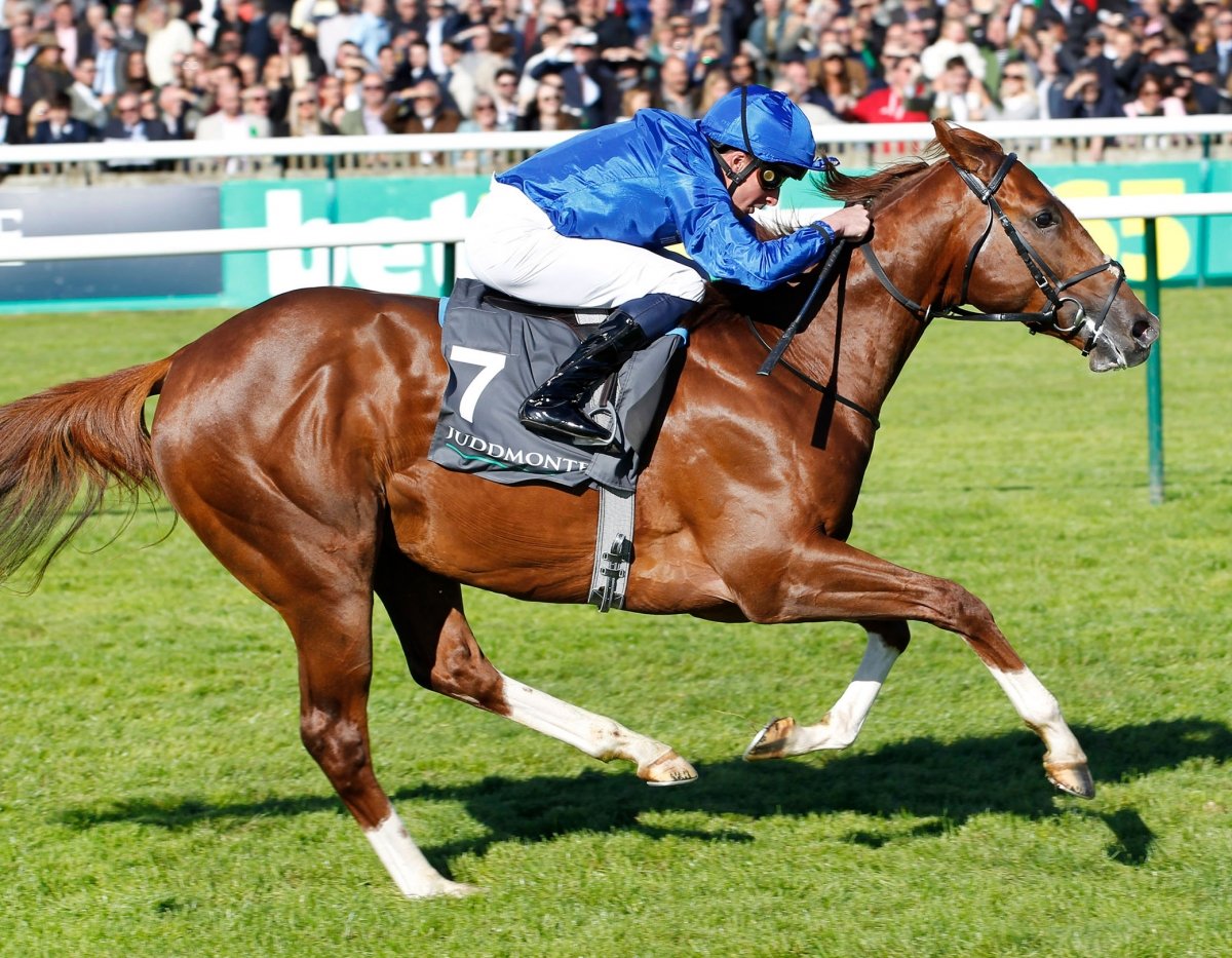 Baptiste Henry (Darley) vous présente Shadow of Light, meilleur 2 ans ...