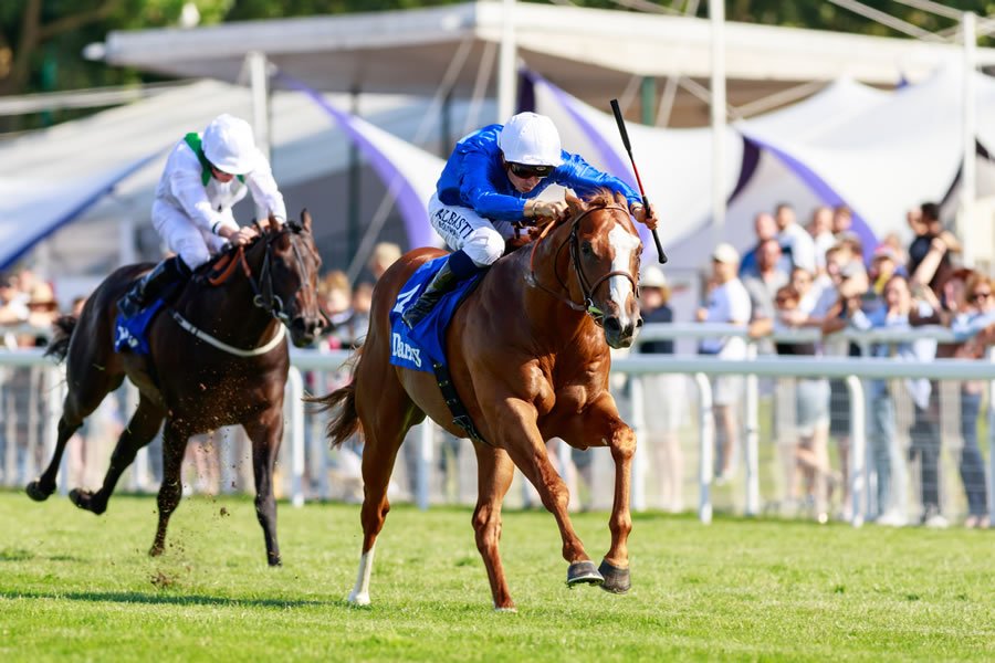 Baptiste Henry (Darley) vous présente Shadow of Light, meilleur 2 ans ...