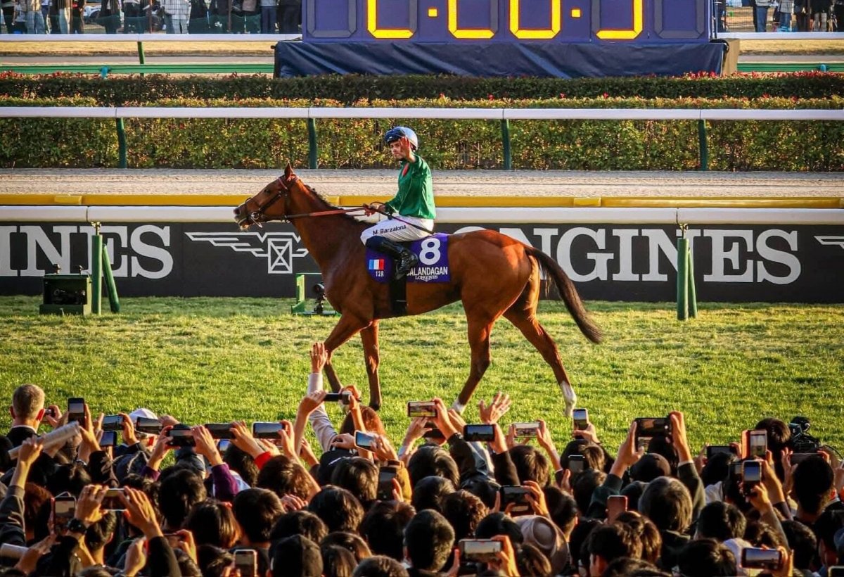 38 ans après Le Glorieux, Calandagan fait briller la France dans la ...