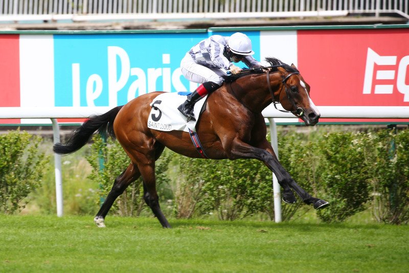 Gagnant du Prix Jacques Le Marois par Frankel, Diego Velazquez débute ...